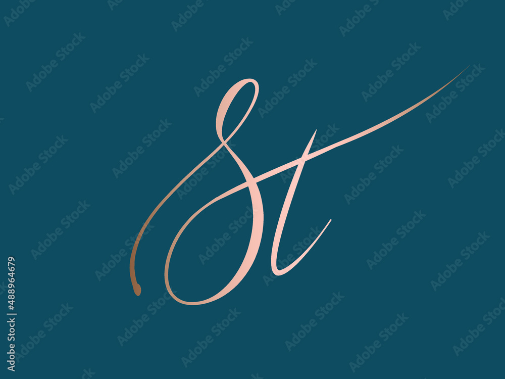 ST monogram logo.Calligraphic signature icon.Letter s and letter t ...