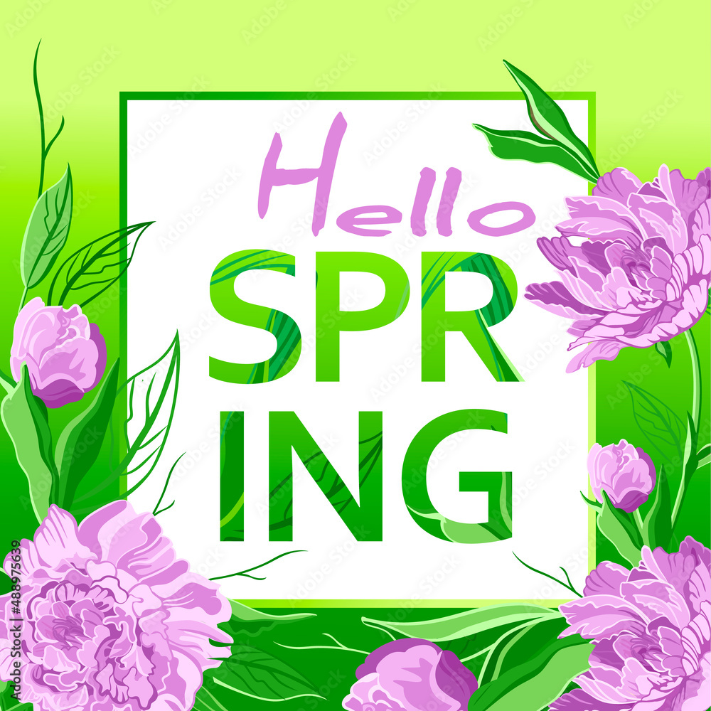 Hello spring background with peonies flowers. Spring placard, poster ...