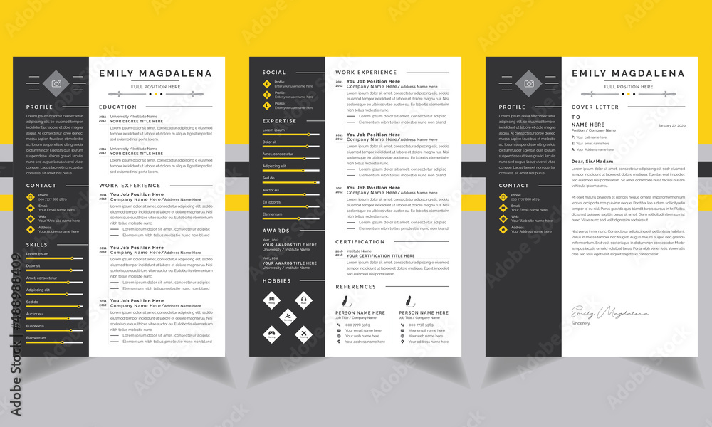 Professional Resume Template, Curriculum Vitae template Two-page design ...