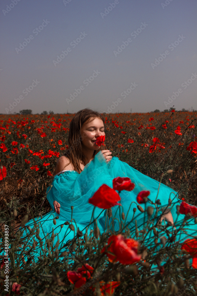 young girl in huge blue princess dress is sitting in red poppy field ...