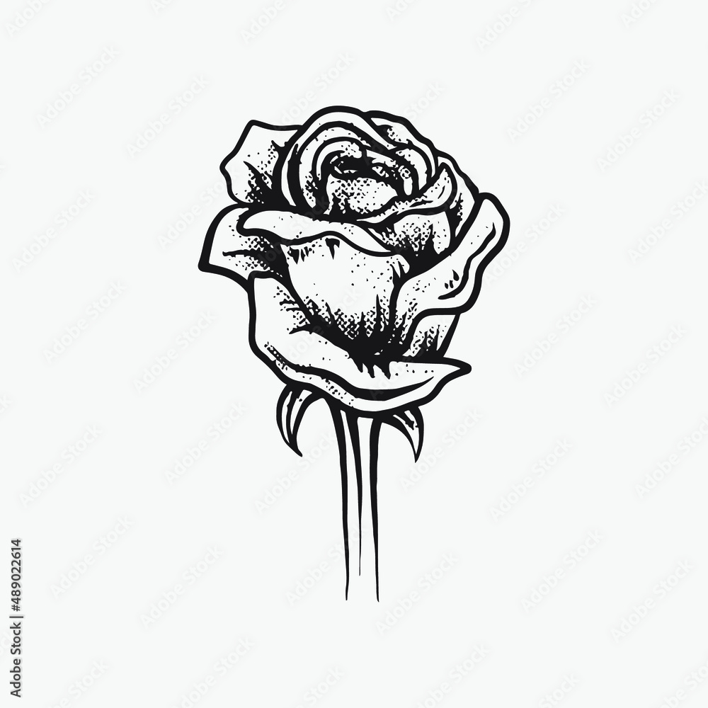 Rose flower hand drawn outline drawing illustration. Stock Vector ...