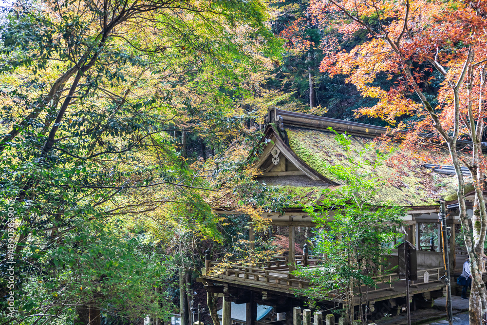 Traditional Japanese temple architecture in a forest with fall colors ...