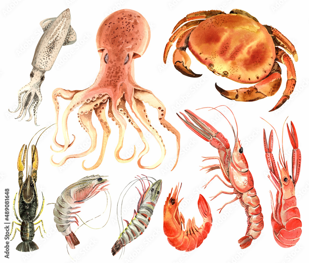 Watercolor seafood. Crawfish Boil, Shrimps, Seafood Fish, Kitchen ...