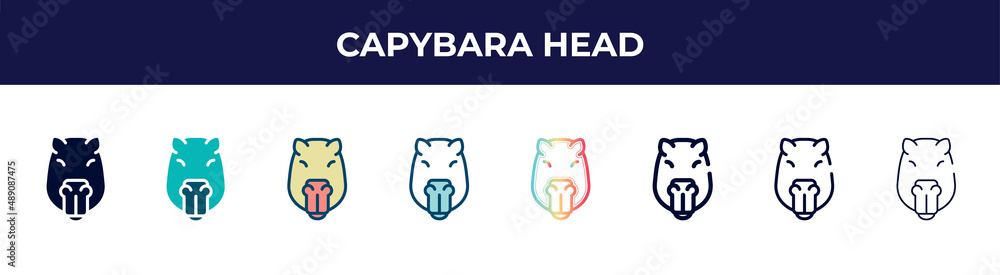 capybara head icon in 8 styles. line, filled, glyph, thin outline ...