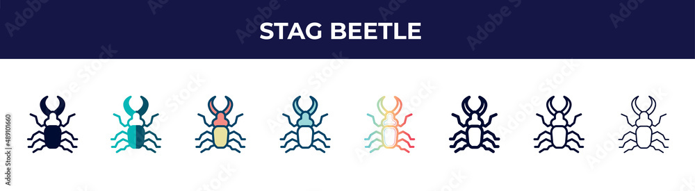 stag beetle icon in 8 styles. line, filled, glyph, thin outline, colorful, stroke and gradient ...