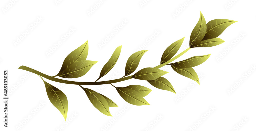 Golden laurel branch vector illustration. The branch of golden laurel ...