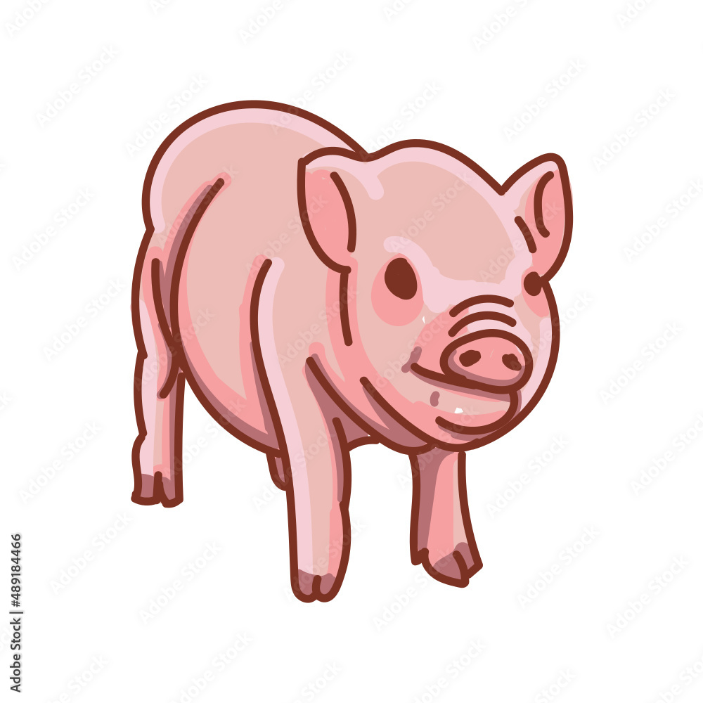 Hand drawn pig cartoon character illustration Animal. Stock Vector ...