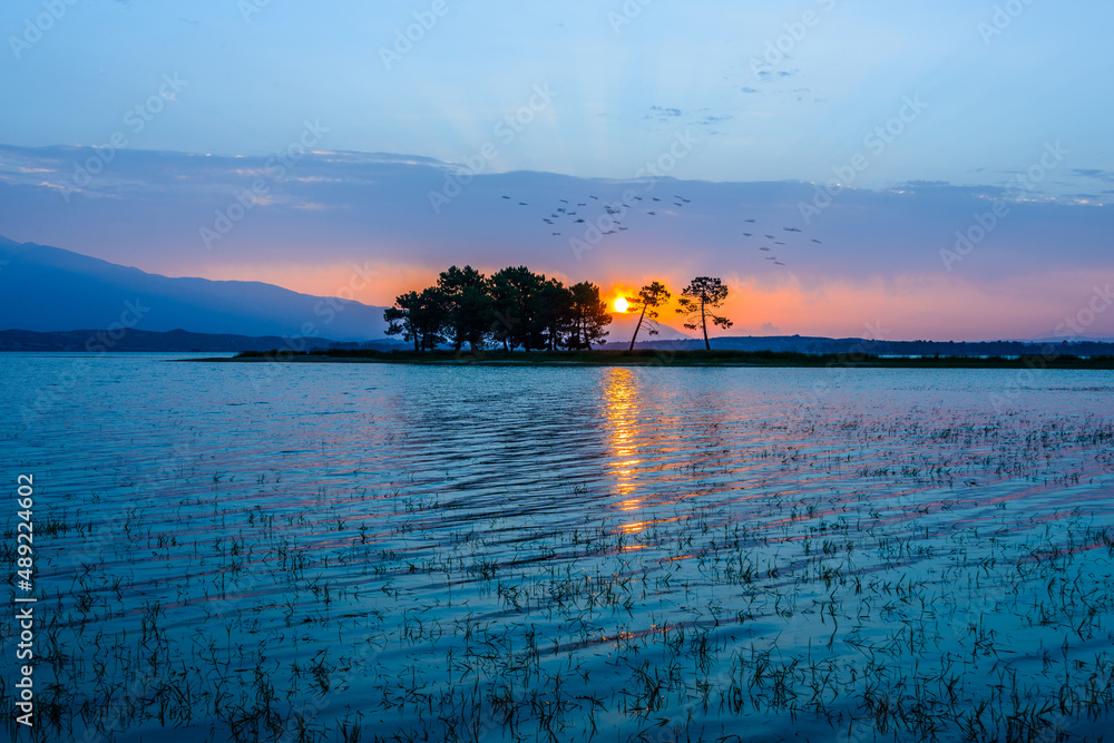 Trees growing at lakeside under sunset sky in countryside Stock Photo ...