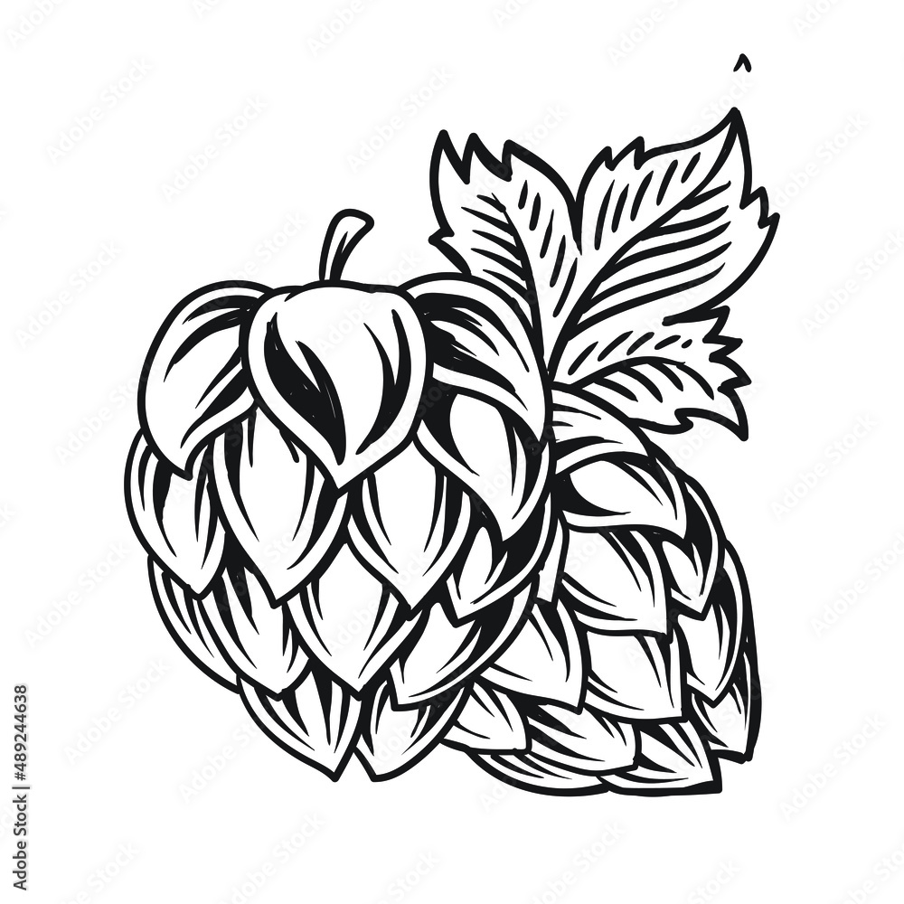hops fruit beer for logo Stock Vector | Adobe Stock