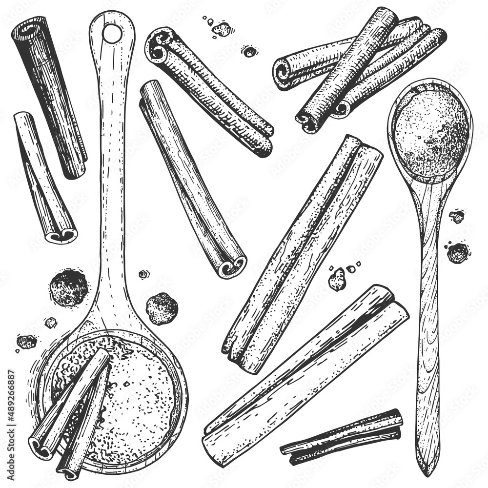 Collection of sketchy hand-drawn cinnamon. Monochrome illustrations of ...