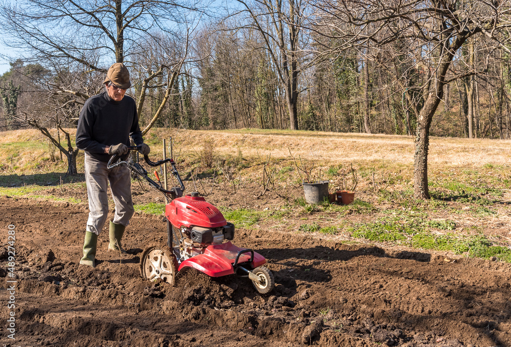 Senior man tilling ground soil with a rototiller in the garden. Spring ...