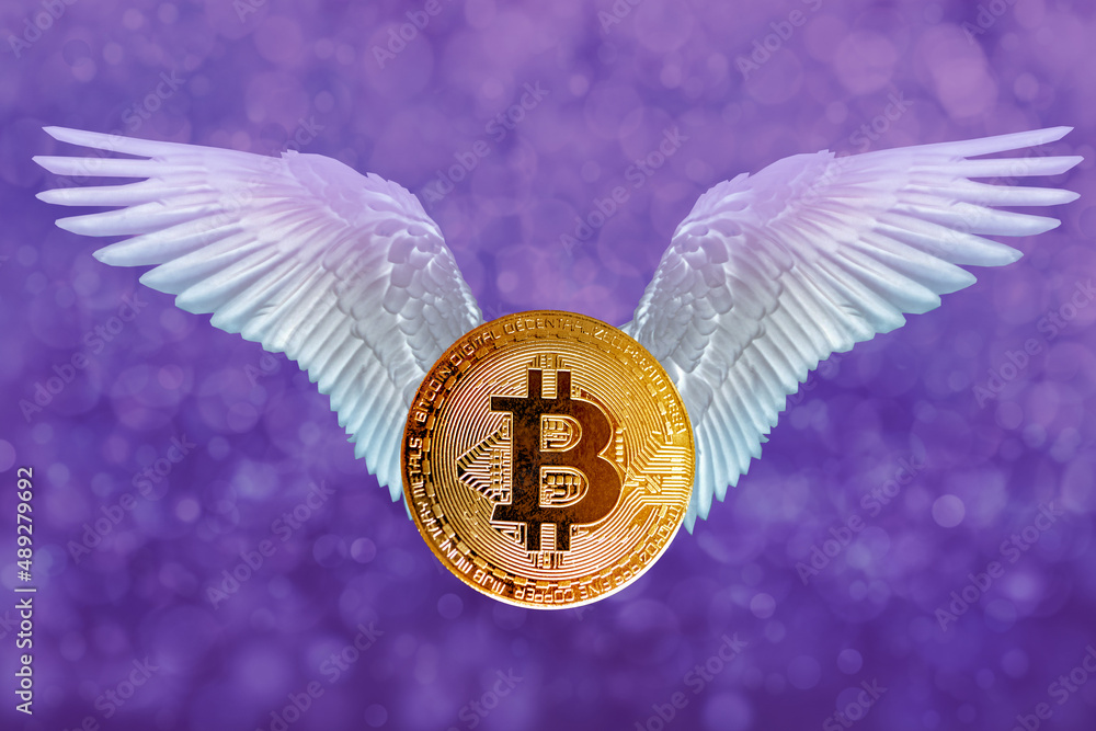 golden cryptocurrency bitcoin with wings flies on blue technological ...
