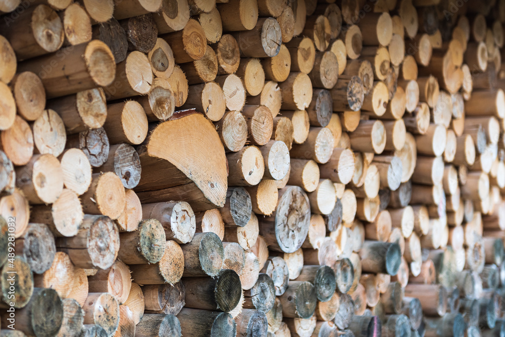 Stacking of round wood. Dry cut wood texture. Timber industry. Woodpile ...