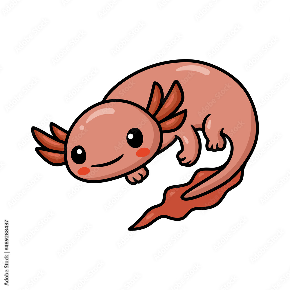Cute axolotl cartoon vector illustration Stock Vector | Adobe Stock