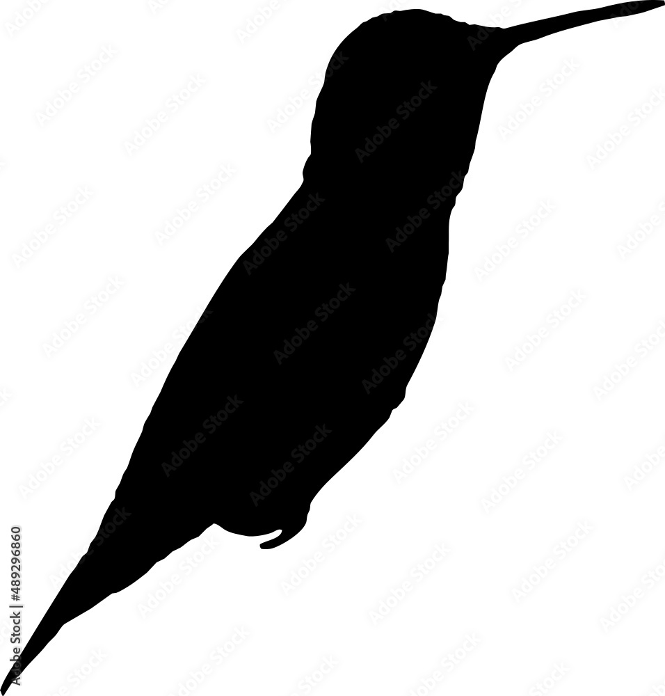 Silhouette de colibri en vol, fond transparent Stock Vector | Adobe Stock