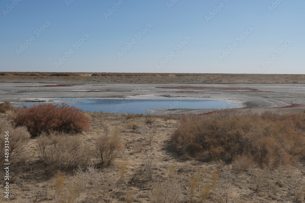 The territory of the Aral Sea. The southern part with a controlled ...