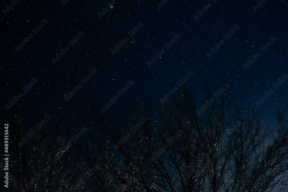 starry winter dark night sky with lots of stars and constellations ...