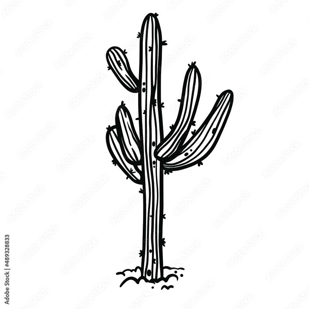 Succulent cactus desert plant hand drawn in monochrome black and white ...