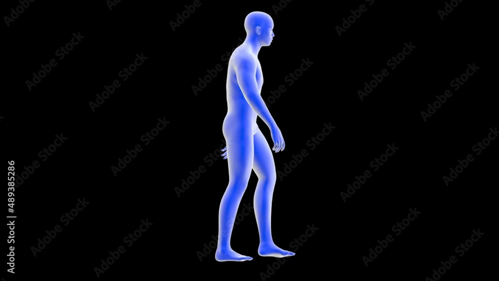 Vidéo Stock 3D animation of a blue man walking - Side angle - 4k video ...