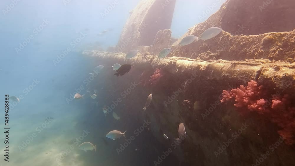 Refracted sun rays passing through water, reaching sunk ship filled ...