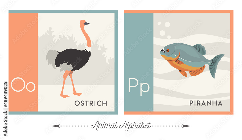 Illustrated alphabet with animals for kids. Letter O for ostrich and ...