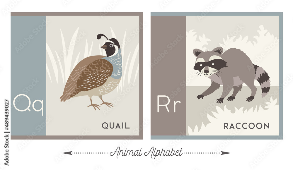 Illustrated alphabet with animals for kids. Letter Q for quail and ...
