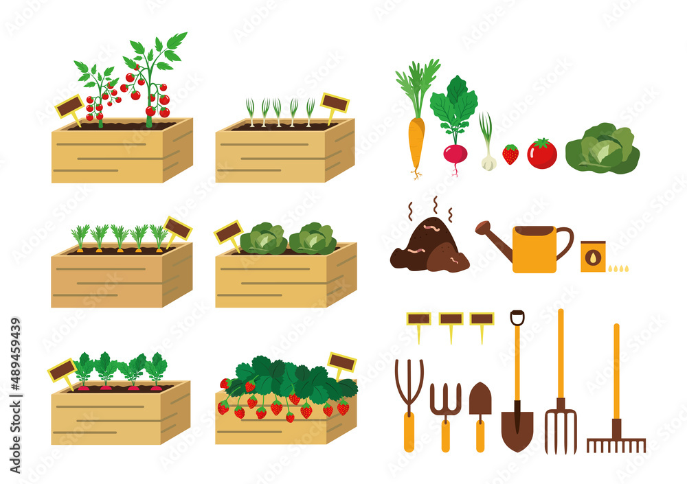 ilustración vectorial conjunto de huerta urbana. jardinería, cajas ...