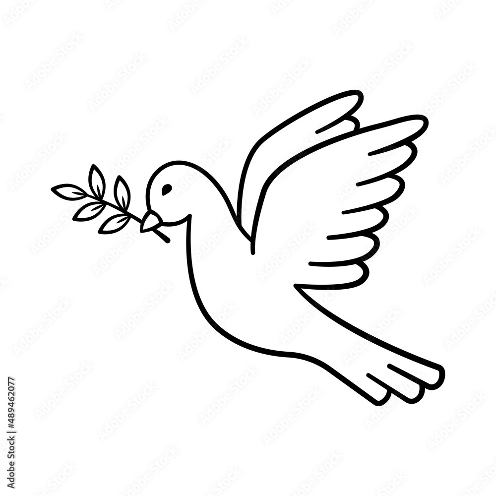 Dove of peace. Hand drawn pigeon flying with olive branch. Bird is ...
