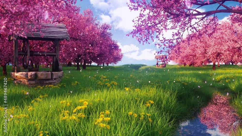 Blooming Cherry Trees - Loop Spring Nature Landscape Background Stock ...