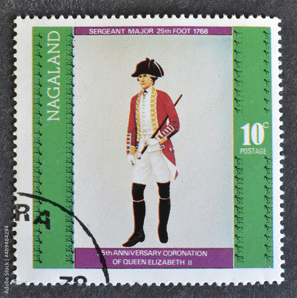 Cancelled postage stamp printed by Nagaland, that shows Officer 49th ...