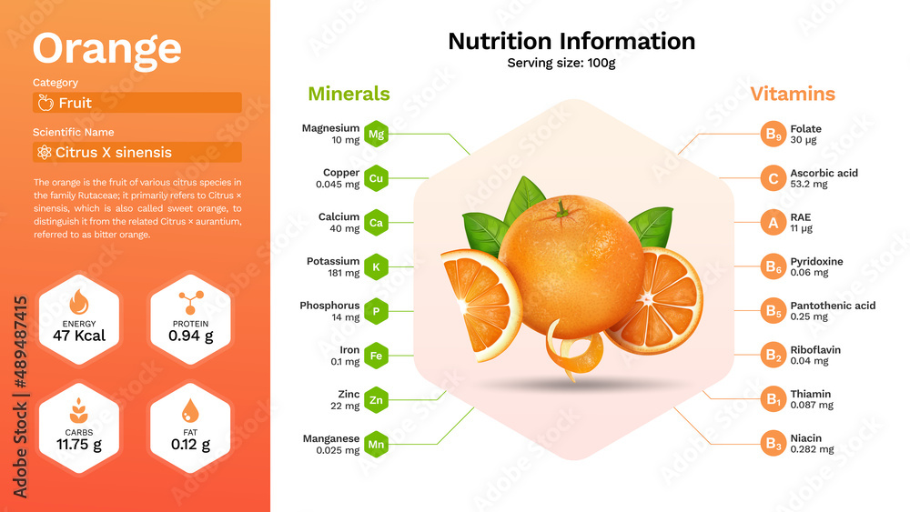 Orange fruit and its nutritional properties -Infographics design ...
