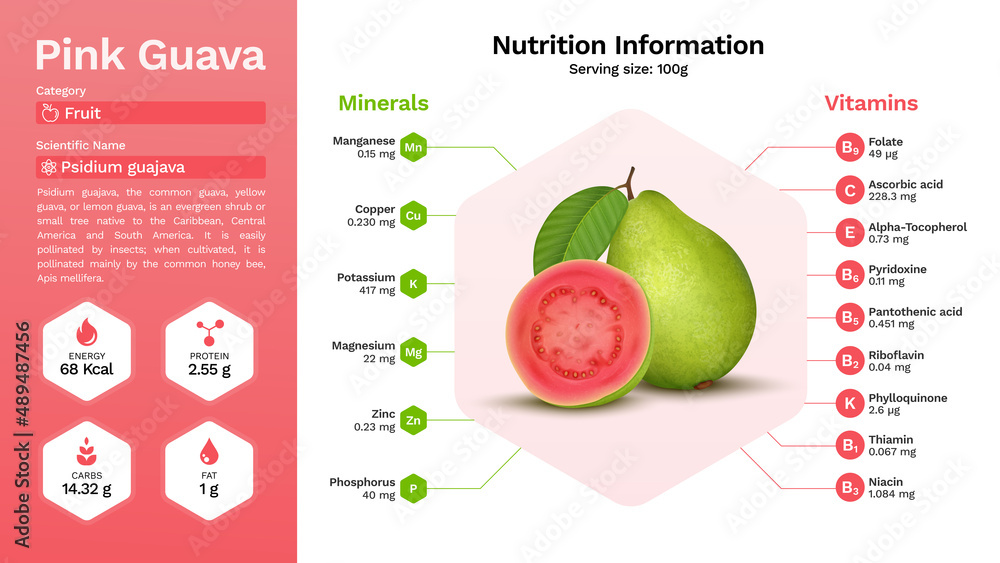 Pink Guava Fruit and its nutritional properties-Infographics design ...