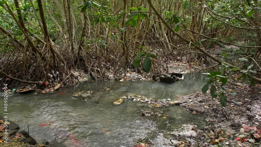 Plastic Waste Rubbish Floating in Forest River Water. Huge Dump in ...