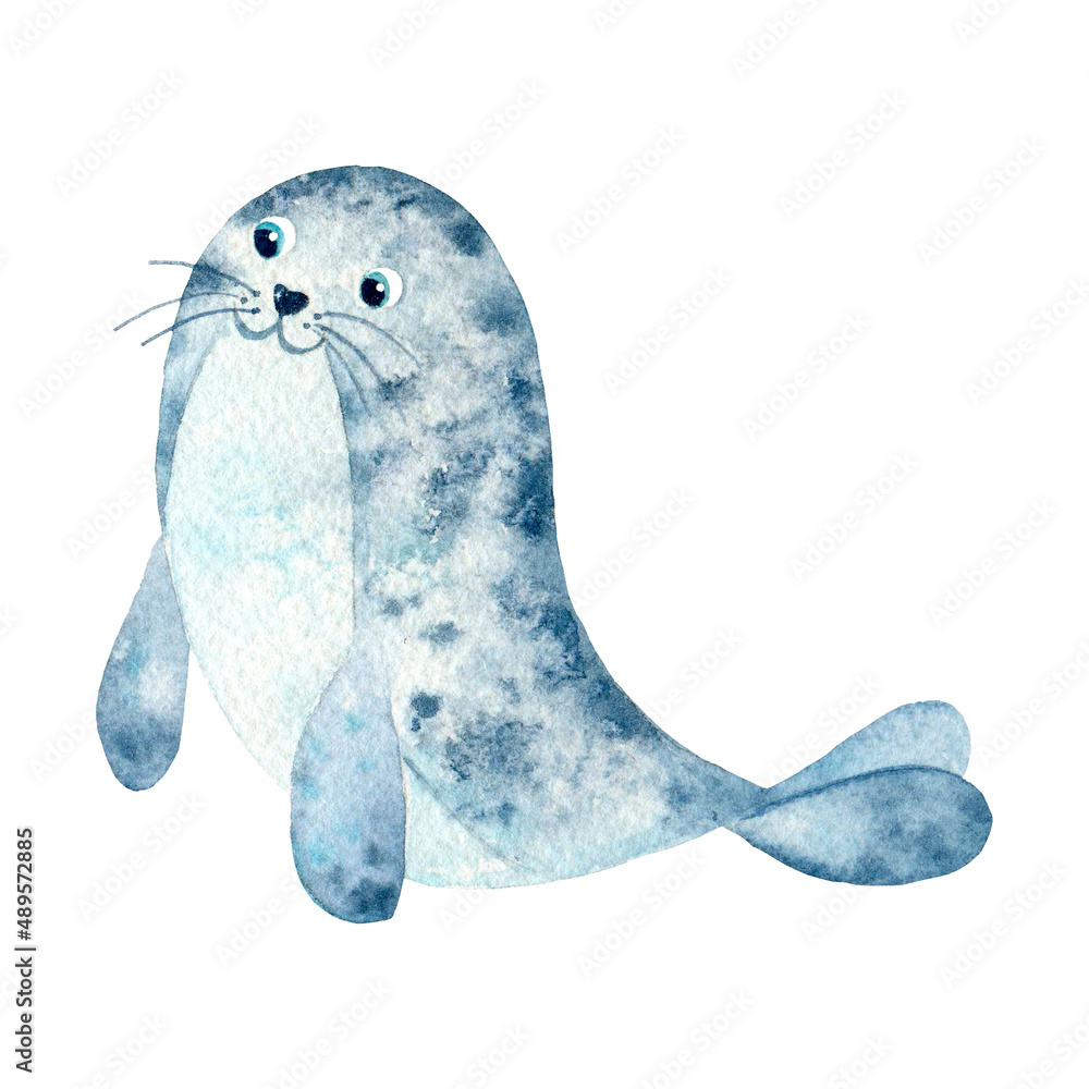 Watercolor underwater sea animal. Seal baby animal character design ...