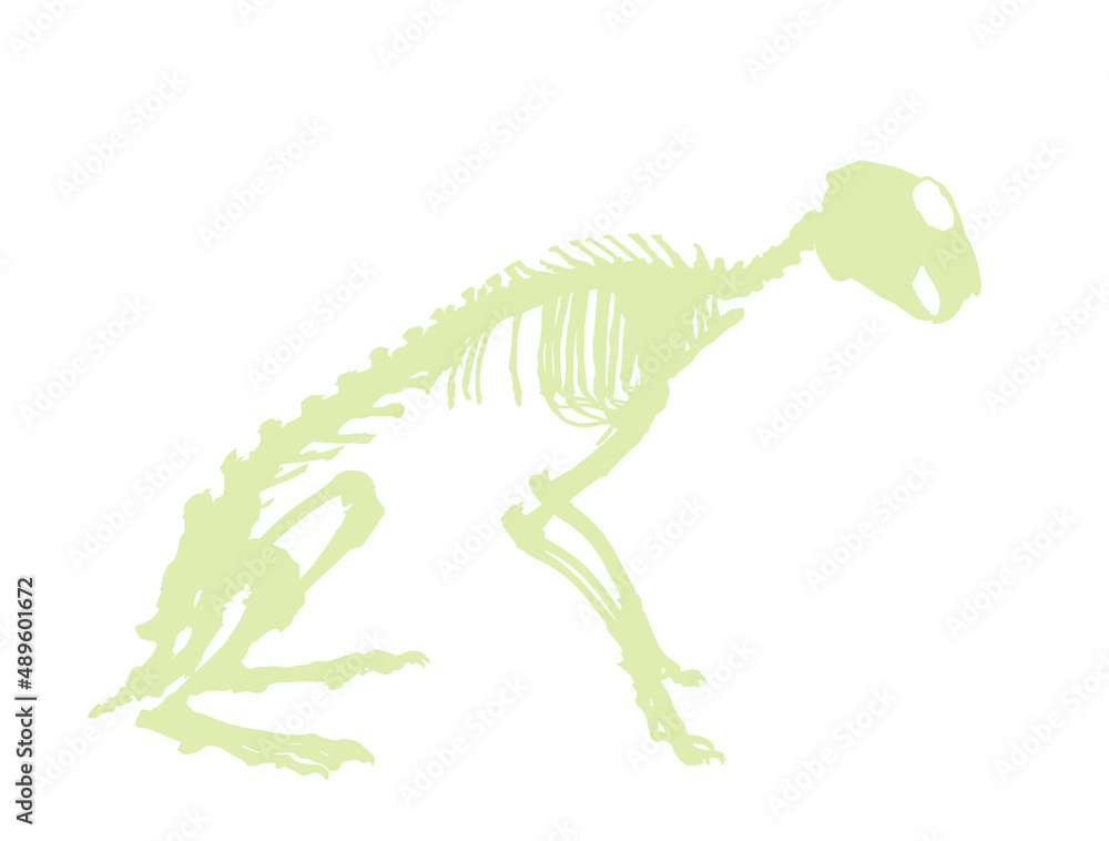 Rabbit skeleton vector silhouette illustration isolated on white ...