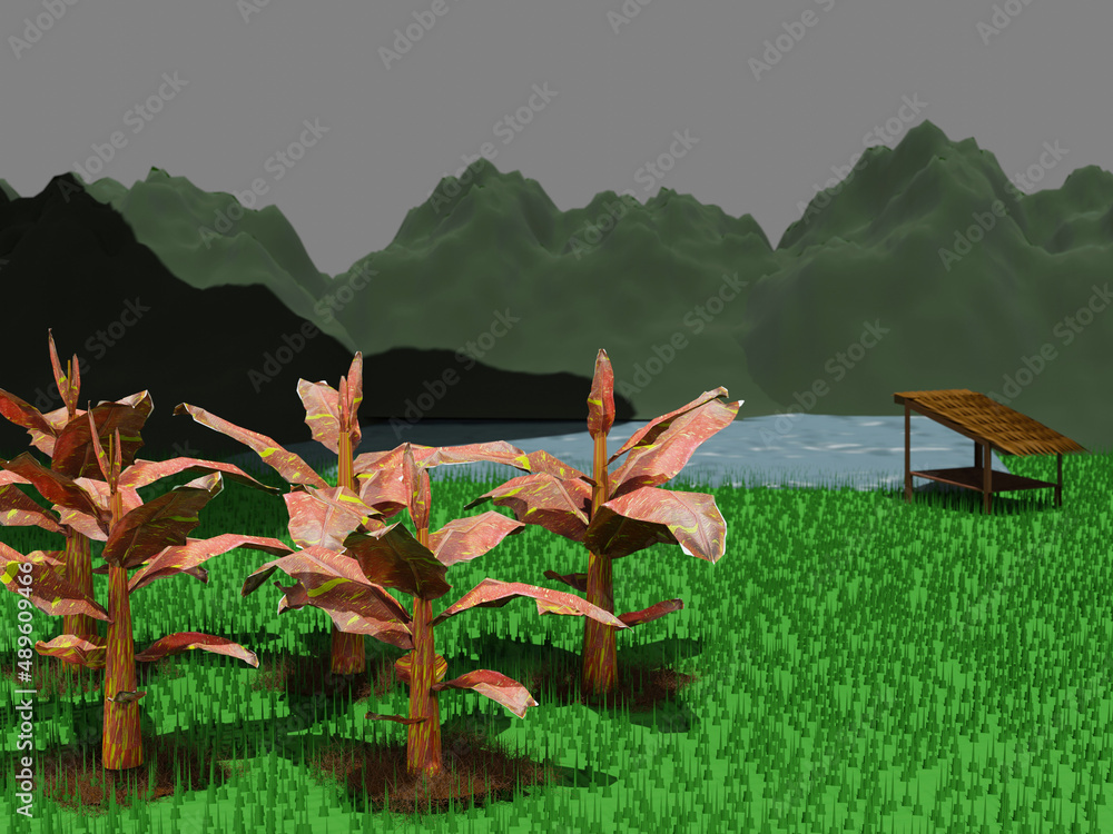 Blood banana. Musa acuminata var. Plant musu siam rubby. The wild ...