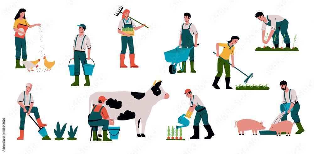 Agriculture and animal farm. Cartoon farmers work in field. People feed ...