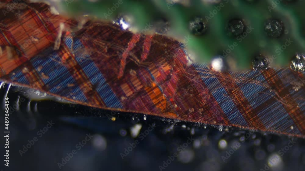 CPU layers, 100x times magnification. Internal structure of a modern ...