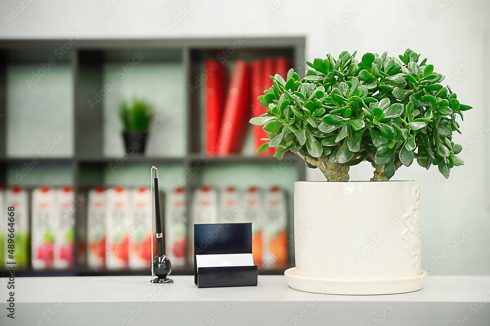 Plant in a interior. Reception desk at a sports center or gym with a ...