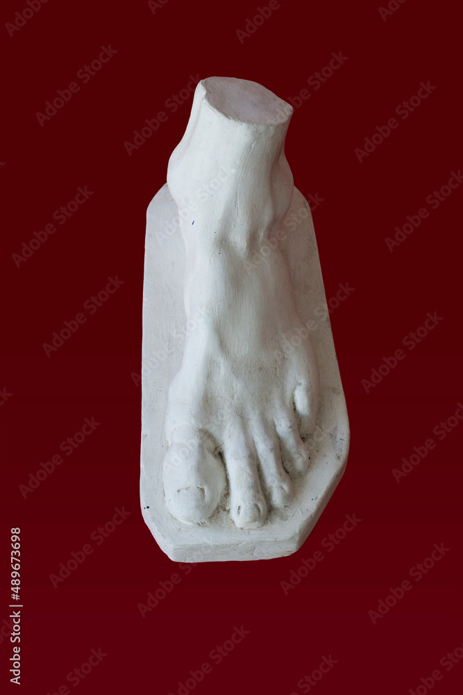 Human foot, gimp model, cast, object for drawing. The study of human ...