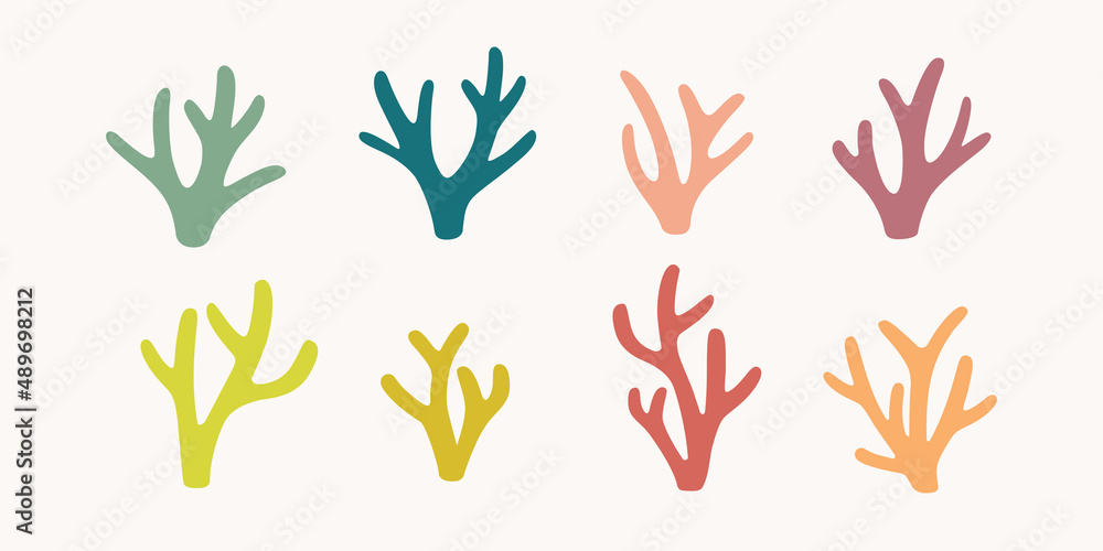 Different types of coral. Design elements collection.Flat line vector ...