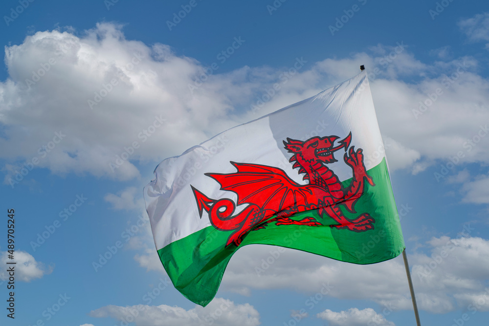 Welsh flag St Davids day wales Stock Photo | Adobe Stock