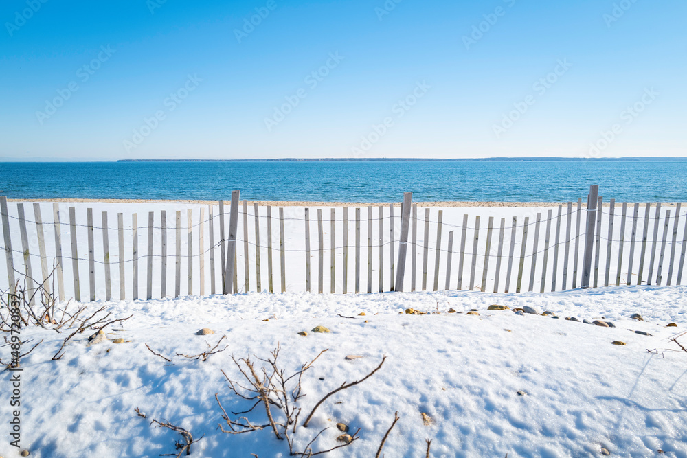Snow on the beach with sand-fence and bare rosehip trees. Stock Photo ...