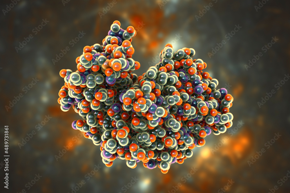 Molecule of pepsin stomach enzyme Stock Illustration | Adobe Stock