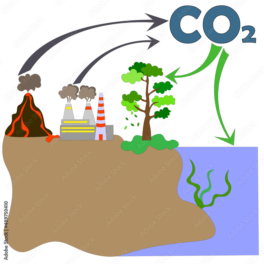 Vektorová grafika „carbon offset. Vector. Carbon climate cycle. Scheme ...
