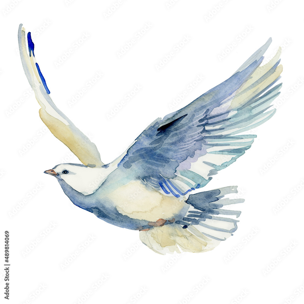 Flying white dove watercolor illustration. white pigeon isolated on ...