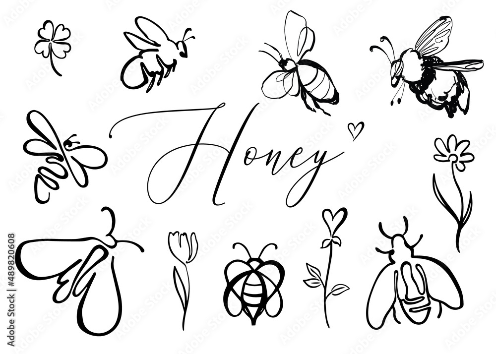 Black line bee, flower, bumblebee summer, honey script. Vector Outline ...