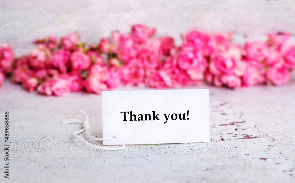 Thank you greeting card with beautiful pink roses Stock Photo | Adobe Stock