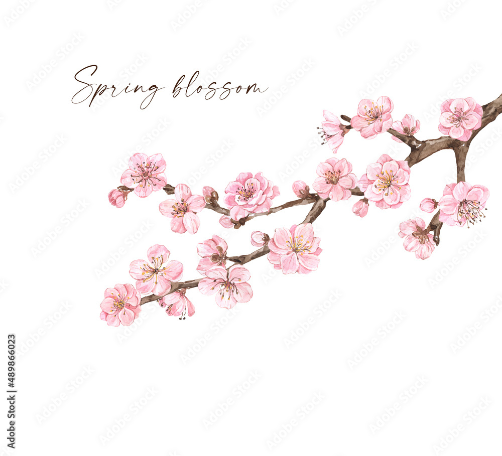 Cherry Blossom Tree Branch Painting