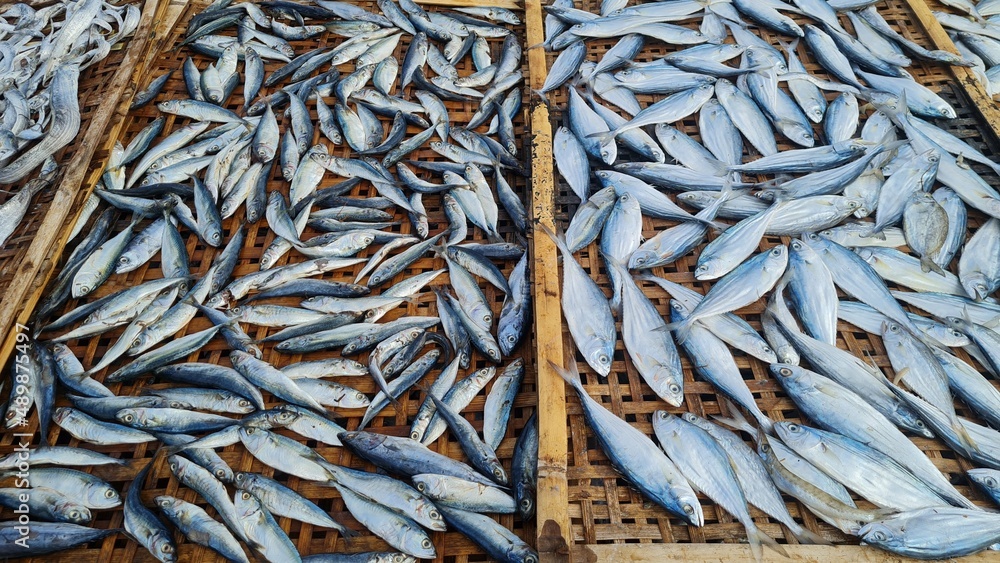 Dried fish process and salted fish process Stock Photo | Adobe Stock